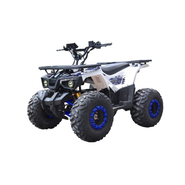 125cc Hunter Offroad Quad Bike TAO Motor + Remotes – Blue for 12 Years ...