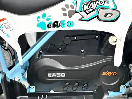 Kayo EA50 800W 36V Electric Motor – Pocketbike SA