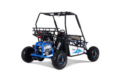 125cc 4 Stroke Two-Seater TRITON Dune Buggy TAO Brand for 13 Years ...