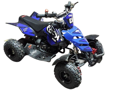 Mini Quad Bikes – Pocketbike SA