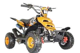 Mini Quad Bikes – Pocketbike SA